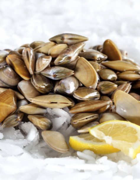 TALLARINAS – La Paradeta