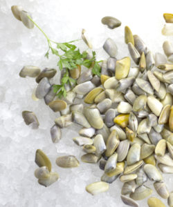 productos – La Paradeta